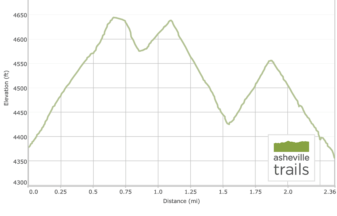 Max Patch on the Appalachian Trail - Asheville Trails