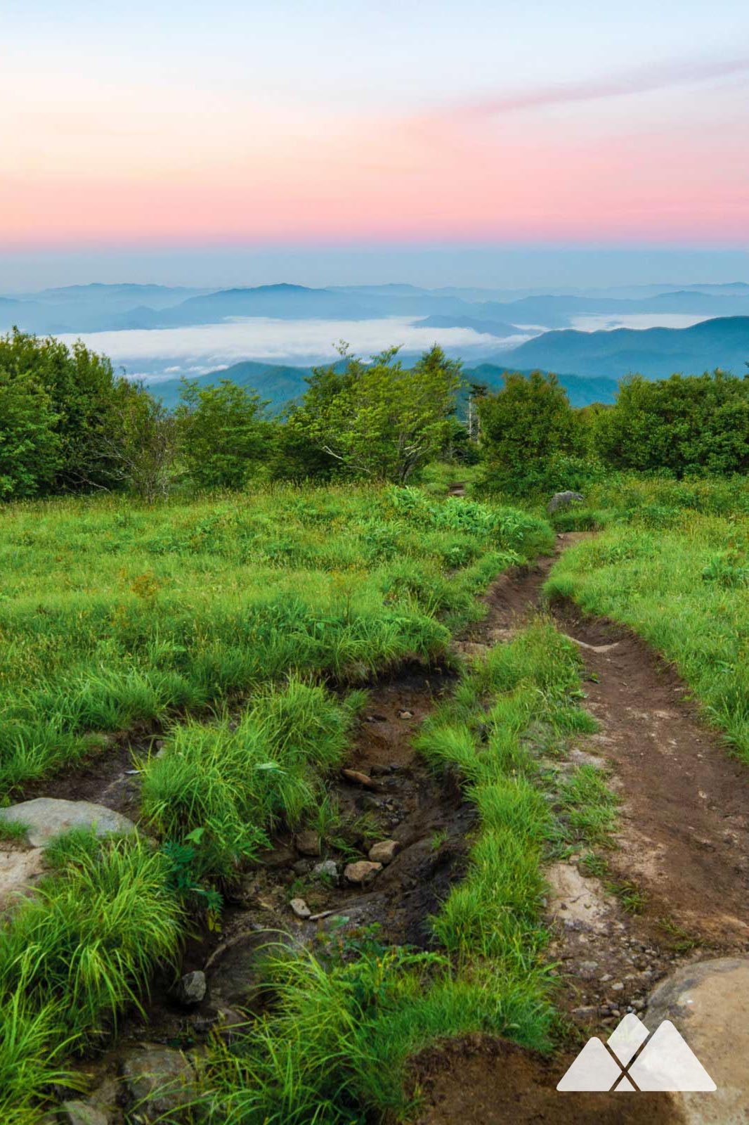 Andrews Bald in the Great Smoky Mountains - Asheville Trails