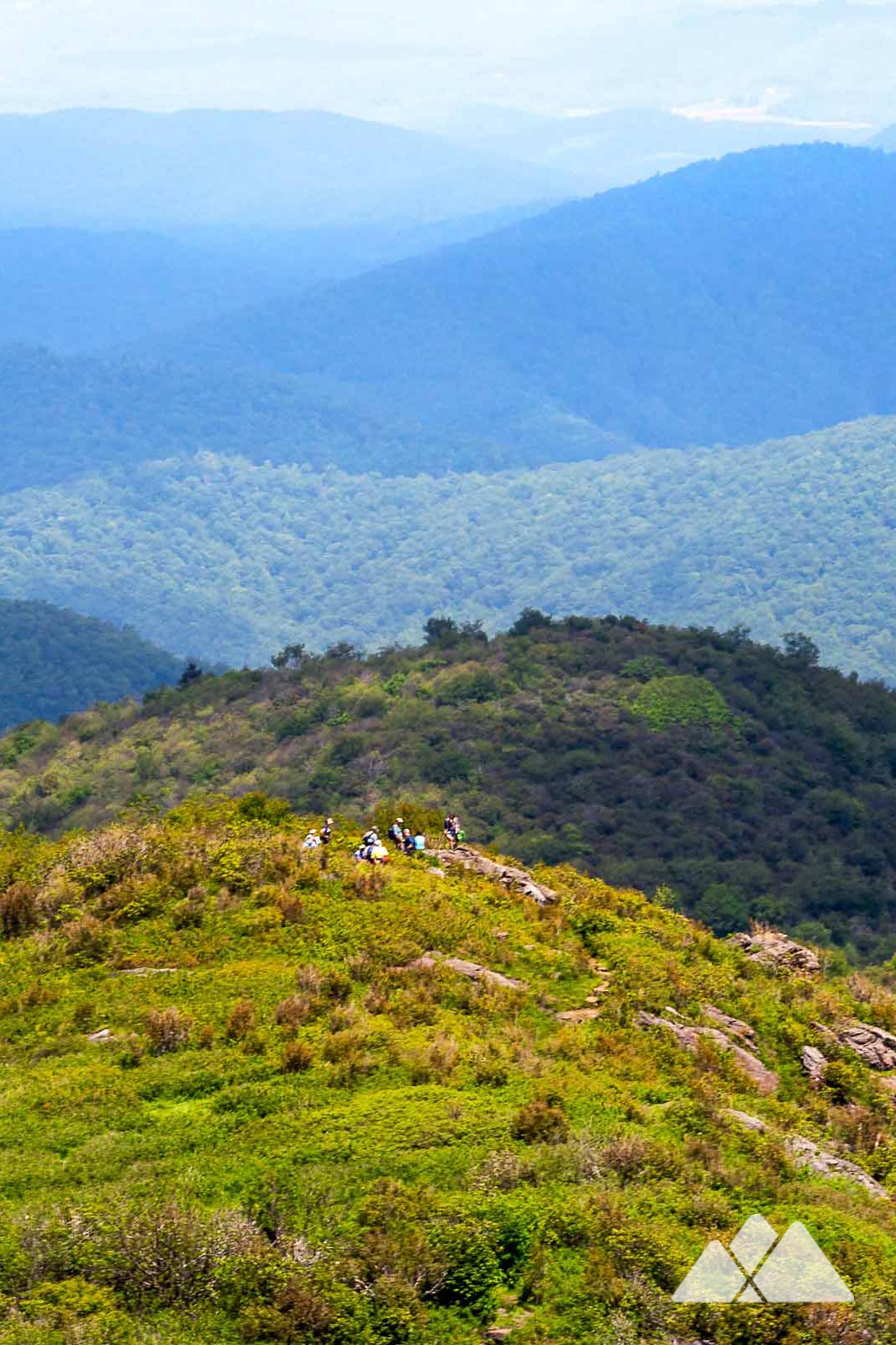 Black Balsam Knob & Tennent Mountain Loop, Ivestor Gap Trail