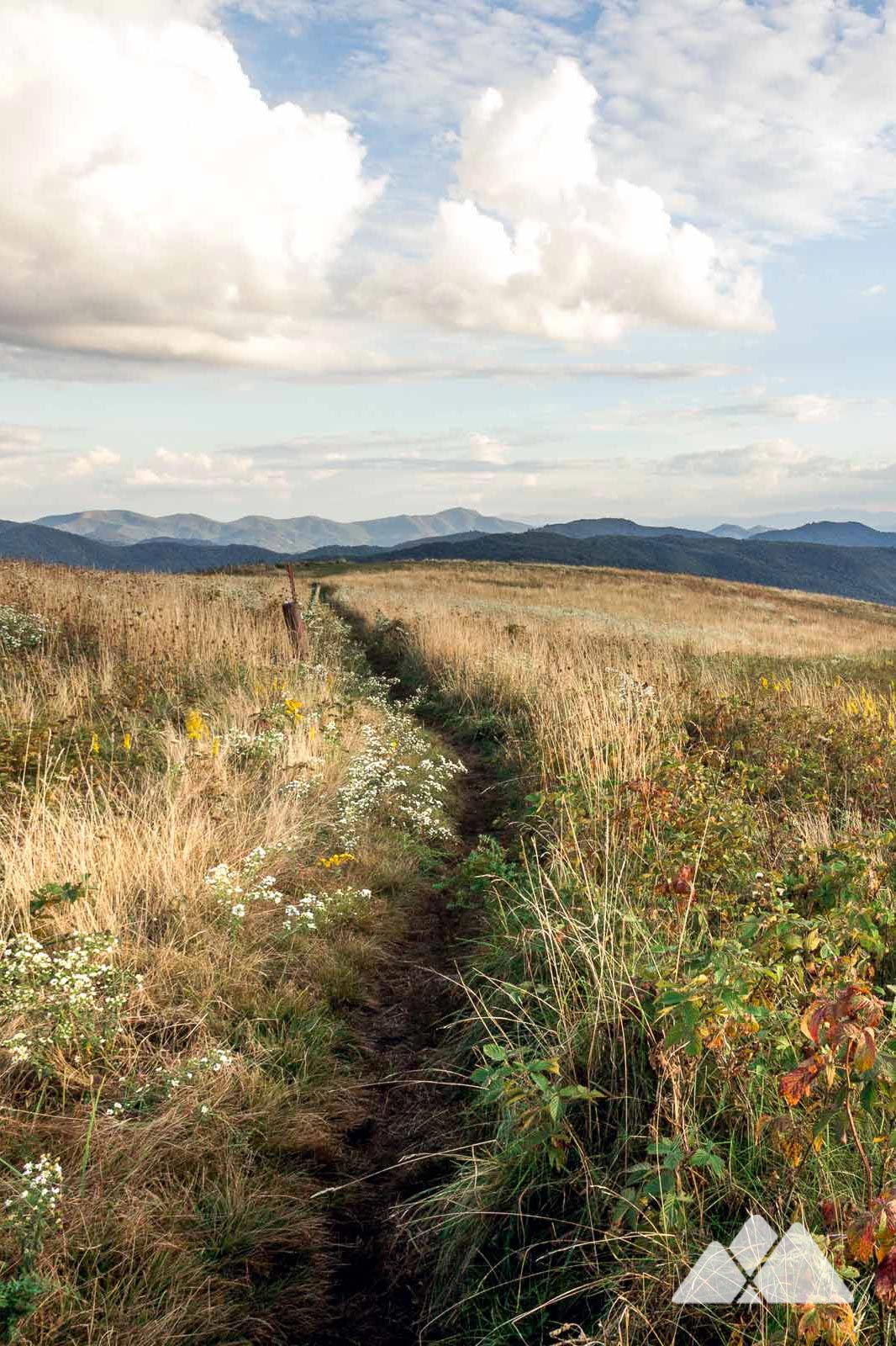 Max Patch - Asheville Trails