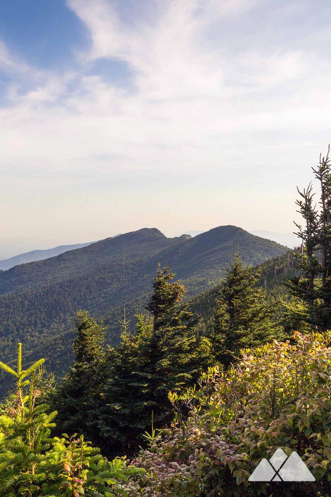 Mount Mitchell: hiking the Deep Gap Trail to Mount Craig