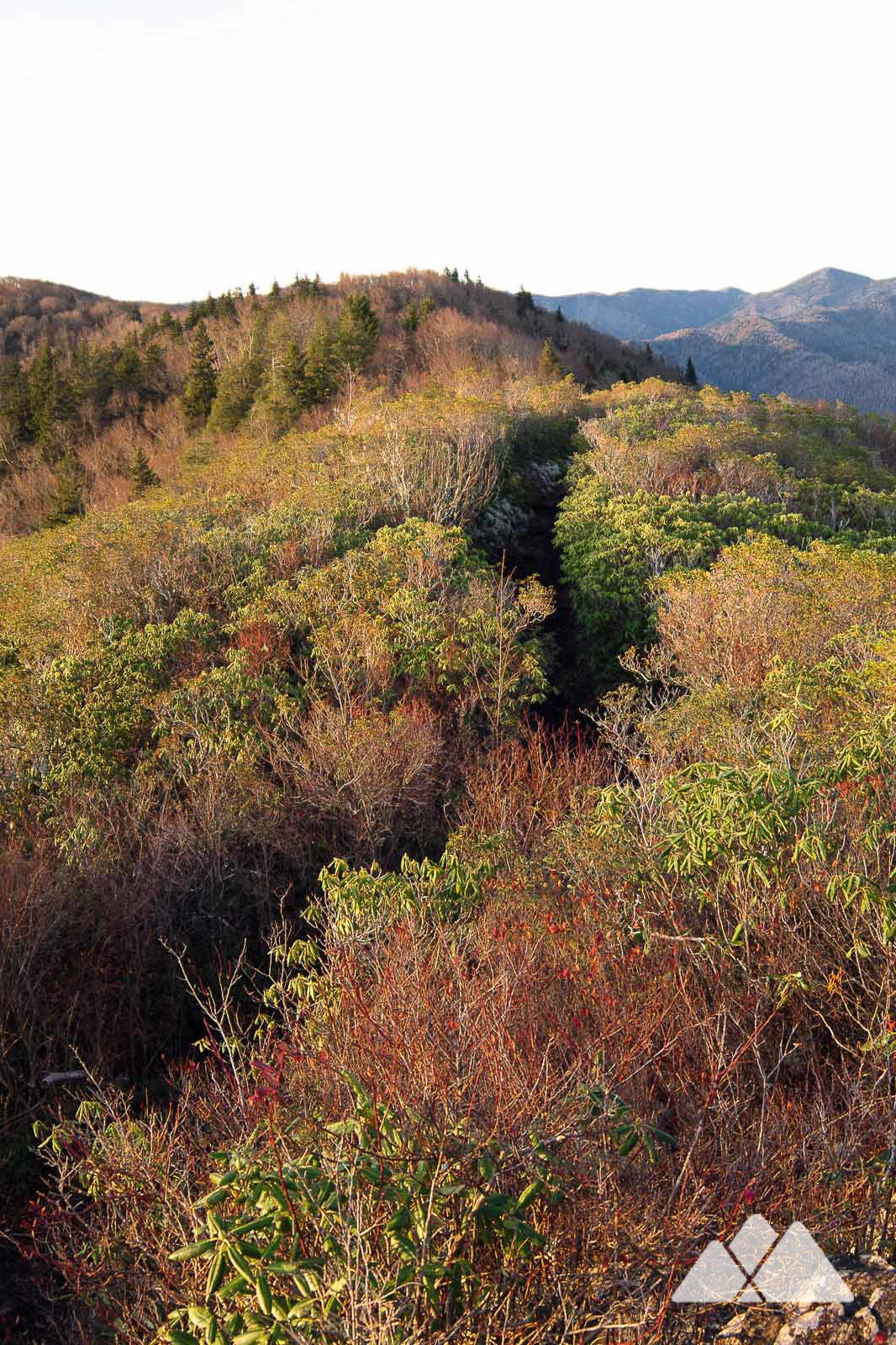 Mt Cammerer on the Appalachian Trail - Asheville Trails