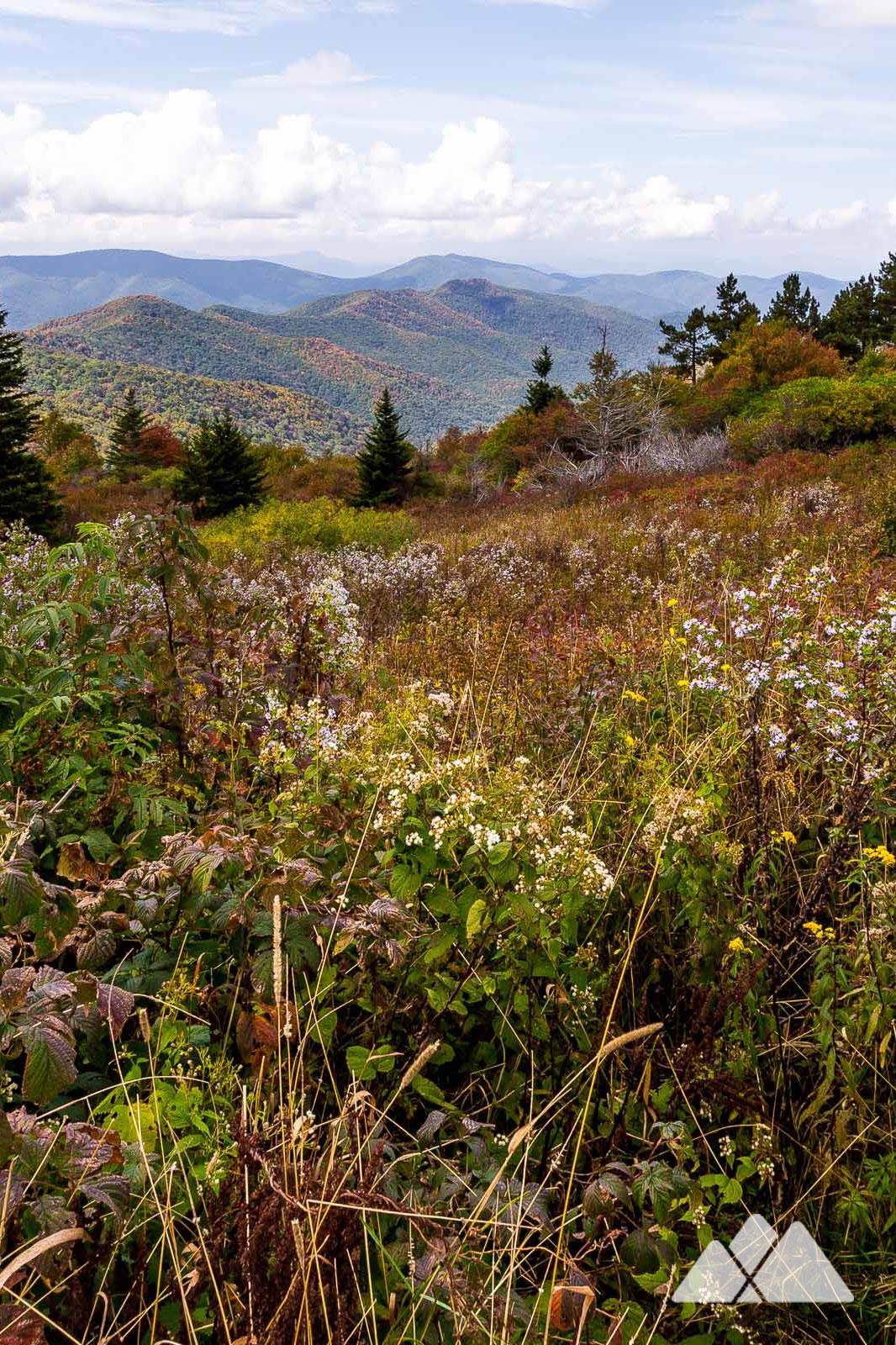 Wilderness in the Southeast: what, where, and why you should care