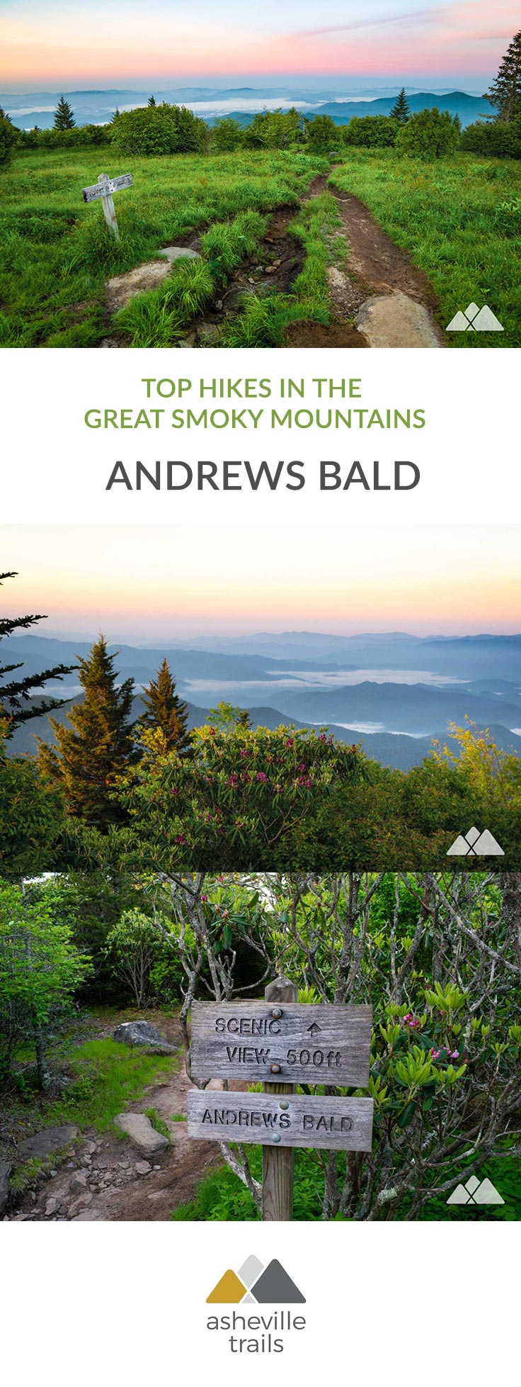 Andrews Bald in the Great Smoky Mountains - Asheville Trails