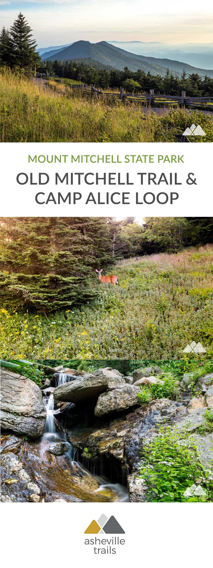 Old Mitchell Trail & Mount Mitchell High Loop - Asheville Trails