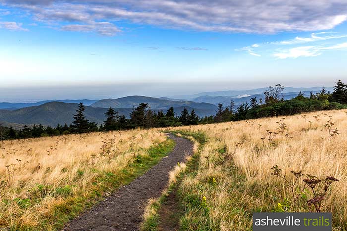 Roan Mountain: hiking the Appalachian Trail to Grassy Ridge