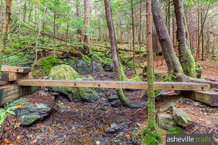 Roan High Knob: Appalachian Trail from Carvers Gap