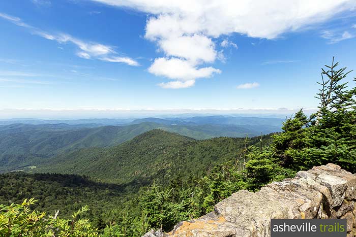 Roan High Bluff: hiking the Cloudland Trail at Roan Mountain