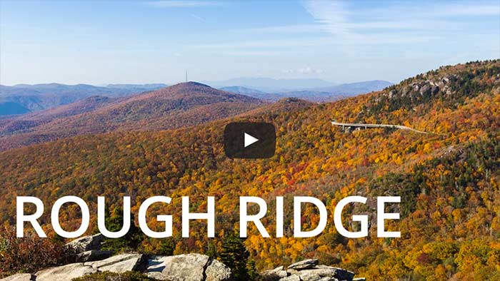 Rough Ridge: hiking the Tanawha Trail at Grandfather Mountain