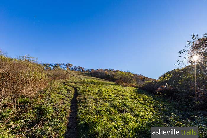 Siler Bald: hiking the Appalachian Trail from Wayah Gap