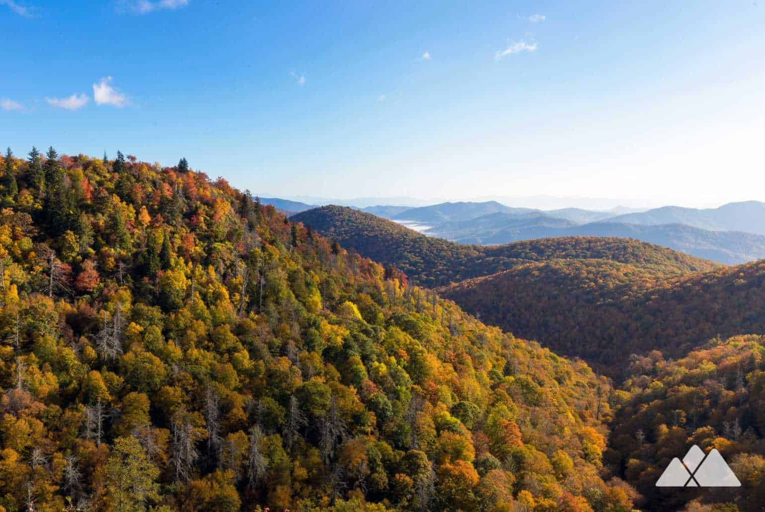 Profile Trail at Grandfather Mountain to Calloway Peak - Asheville Trails