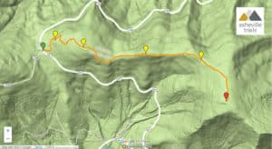 Roan Mountain: hiking the Appalachian Trail to Grassy Ridge
