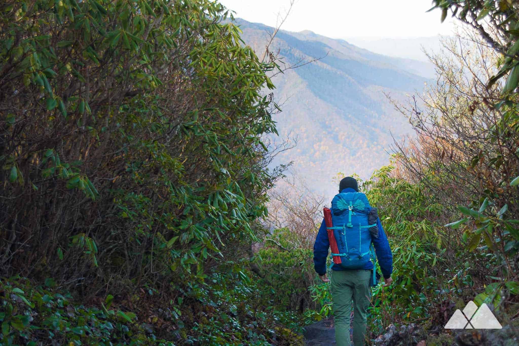 Mt Cammerer on the Appalachian Trail - Asheville Trails