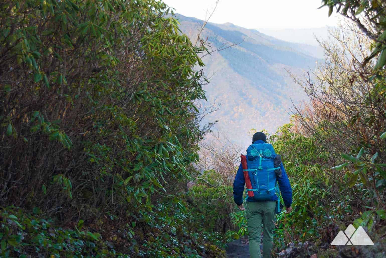 Mt Cammerer on the Appalachian Trail - Asheville Trails