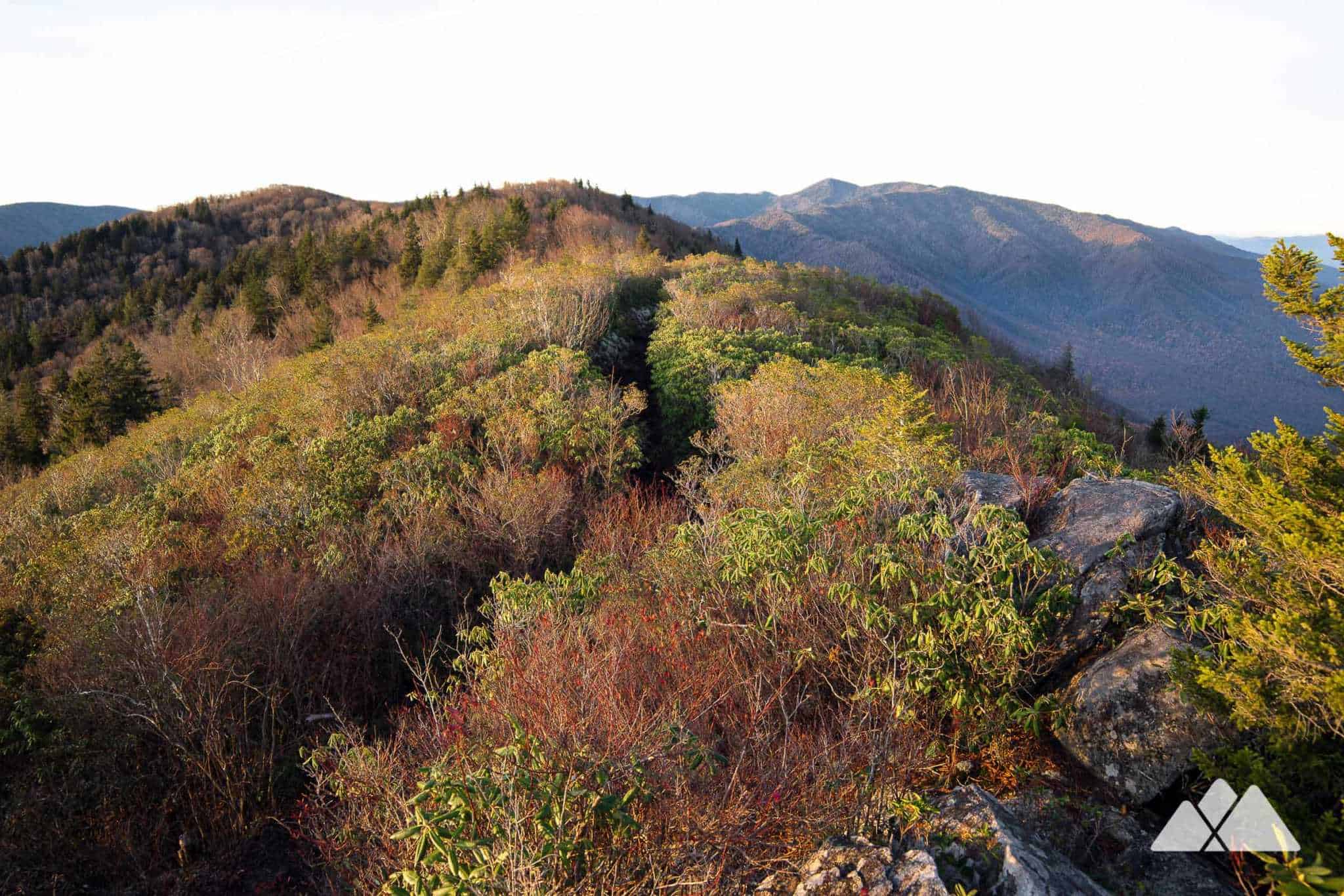 Mt Cammerer on the Appalachian Trail - Asheville Trails