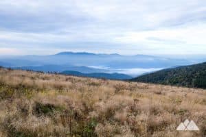 Roan Mountain hiking: Roan Highlands and Appalachian Trail