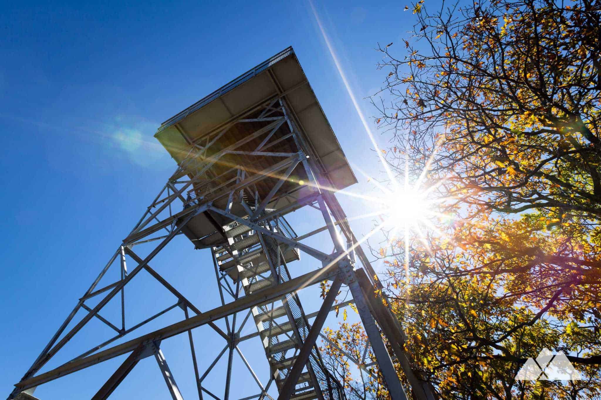 Albert Mountain Fire Tower: Appalachian Trail to Mooney Gap