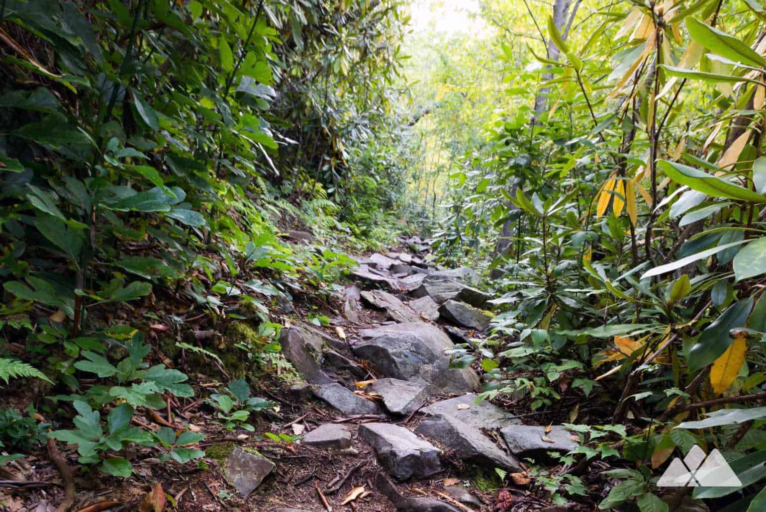 Babel Tower Trail at Linville Gorge - Asheville Trails