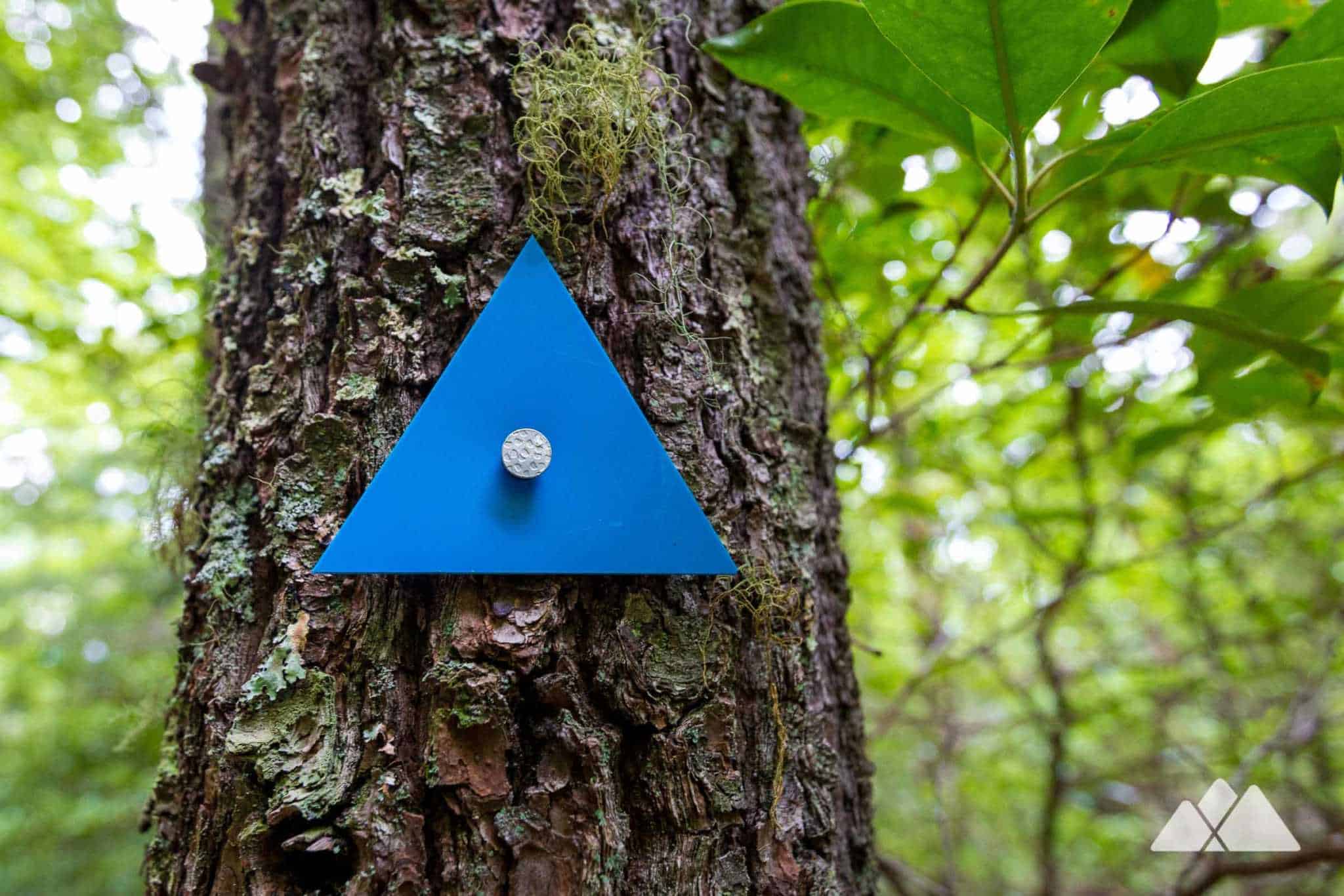 Bearwallow Falls Trail at Gorges State Park