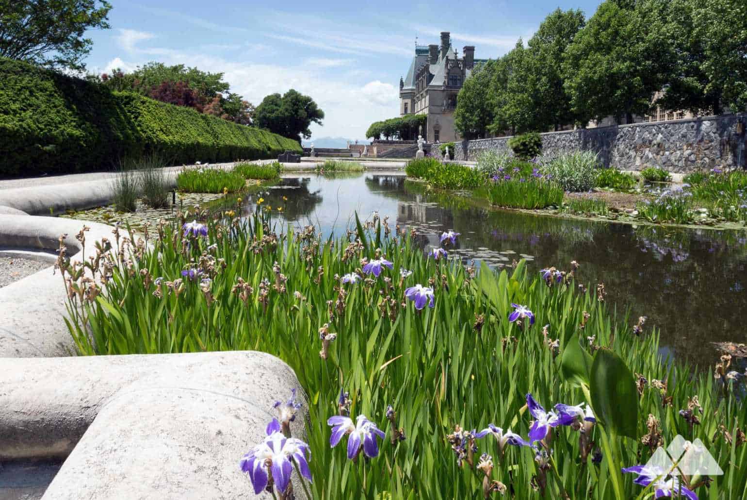 Biltmore Estate adventure: our favorite outdoor things to do