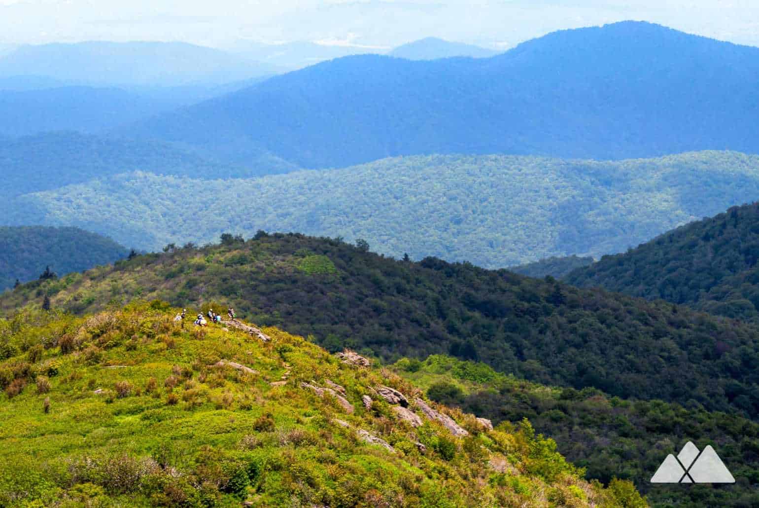 Black Balsam Knob & Tennent Mountain Loop, Ivestor Gap Trail