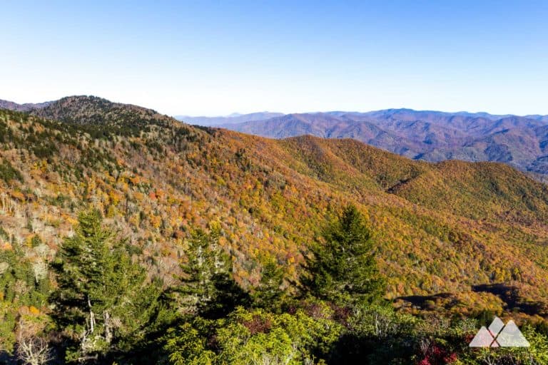 Mount Mitchell: hiking the Deep Gap Trail to Mount Craig