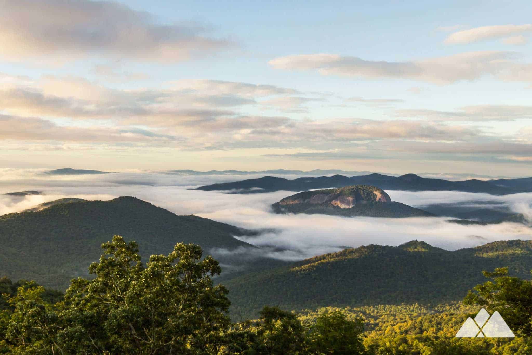 Looking Glass Rock Trail - Asheville Trails
