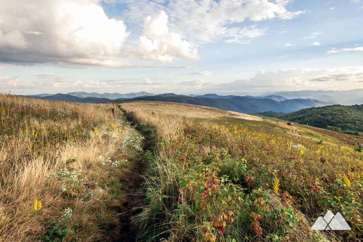 Max Patch - Asheville Trails