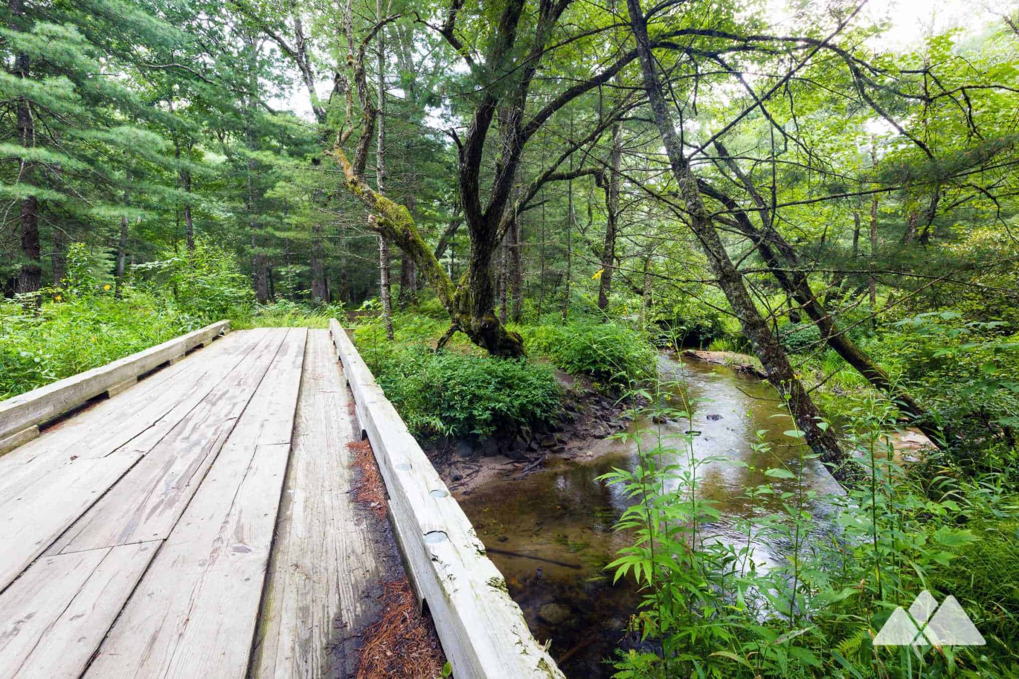 Pink Beds Trail near the Cradle of Forestry - Asheville Trails