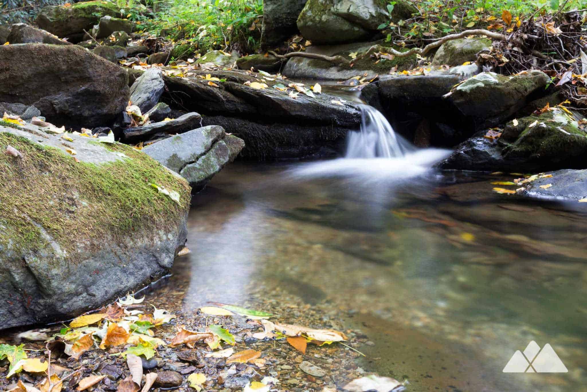 Profile Trail at Grandfather Mountain to Calloway Peak - Asheville Trails