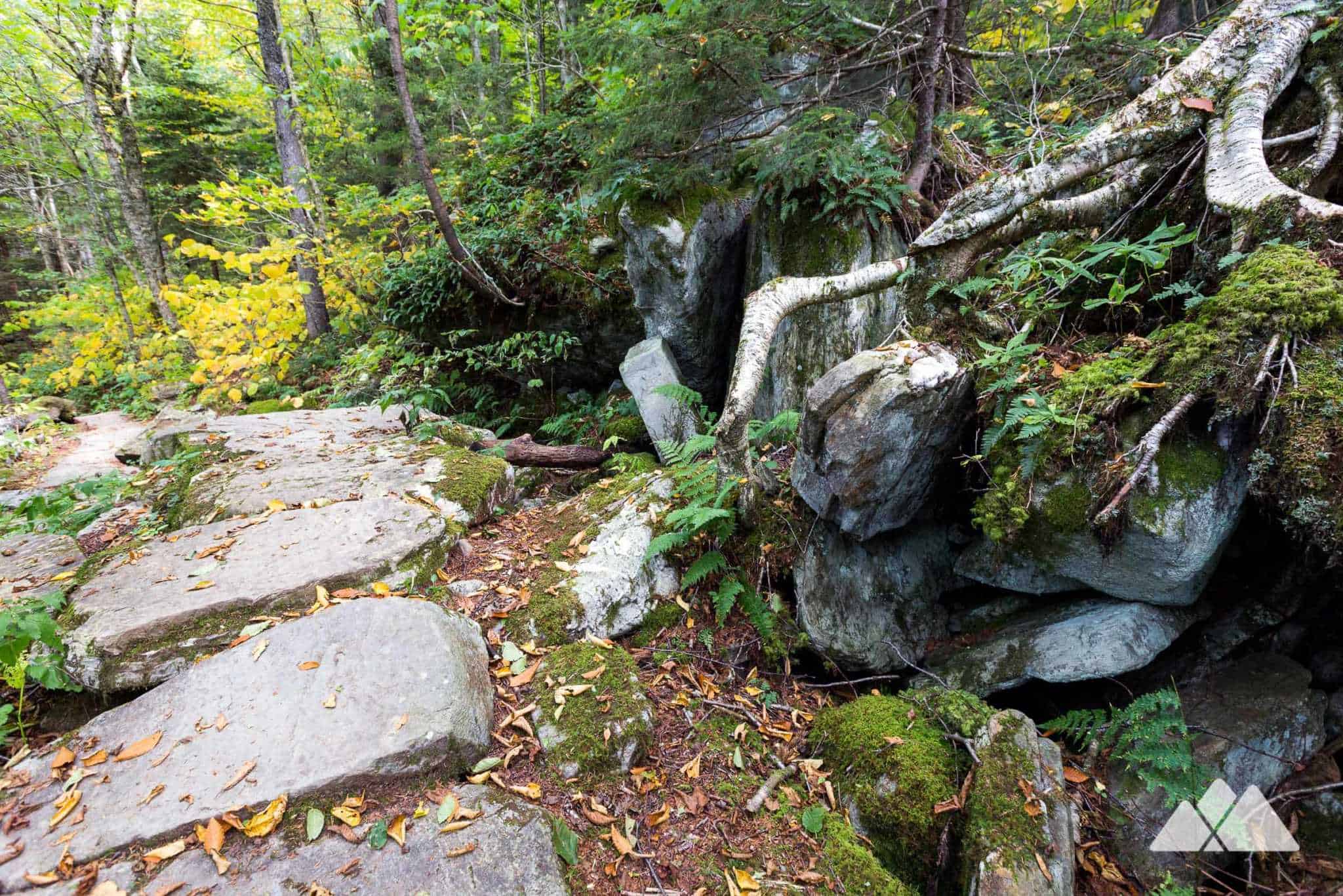Profile Trail at Grandfather Mountain to Calloway Peak - Asheville Trails