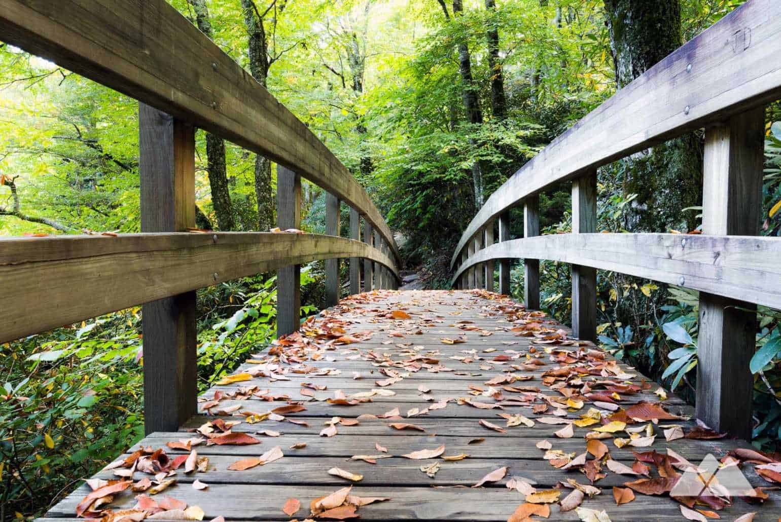 Rough Ridge on the Tanawha Trail - Asheville Trails