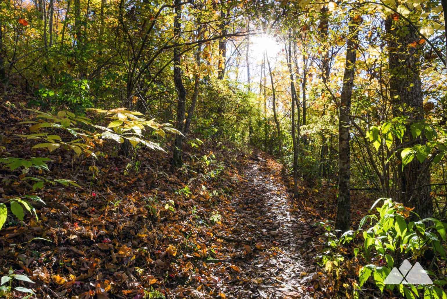 Siler Bald: hiking the Appalachian Trail from Wayah Gap