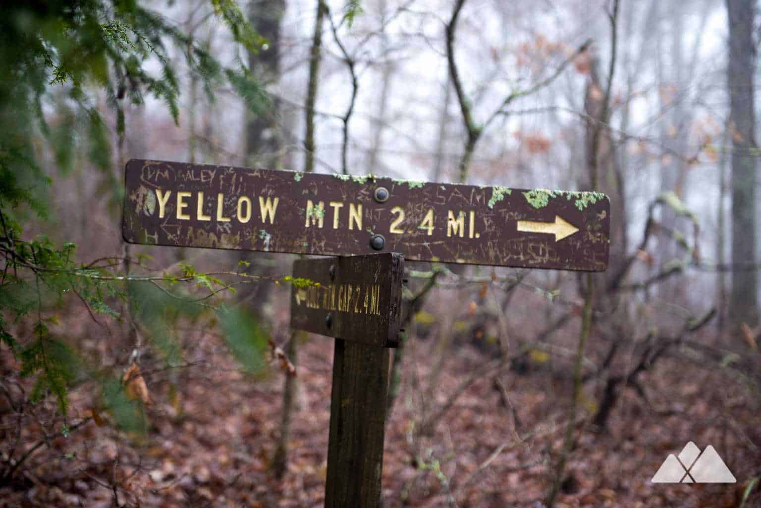Yellow Mountain Trail - Asheville Trails