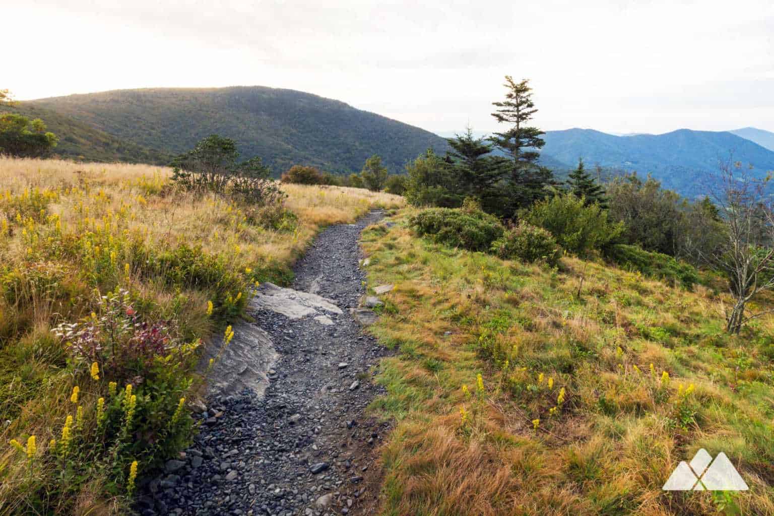 Standing Indian Mountain: Appalachian Trail from Deep Gap, NC