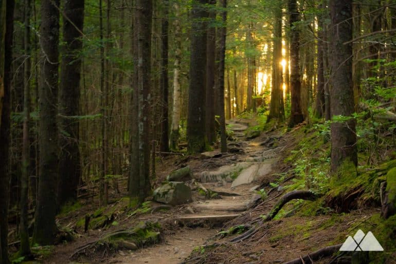 Andrews Bald in the Great Smoky Mountains - Asheville Trails