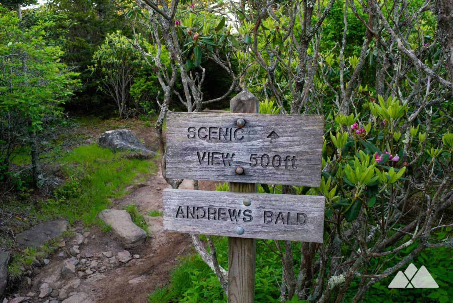 Andrews Bald in the Great Smoky Mountains - Asheville Trails