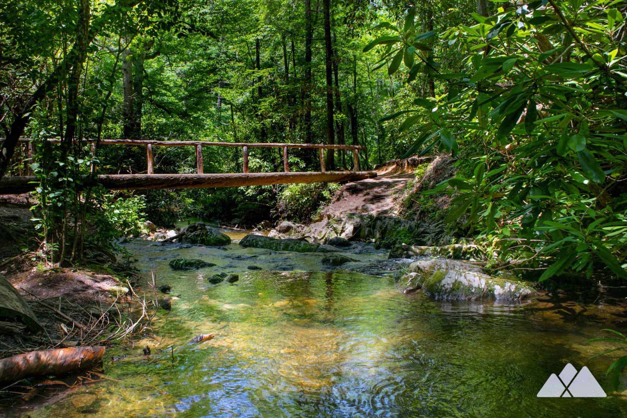 Abrams Falls in the Great Smoky Mountains - Asheville Trails