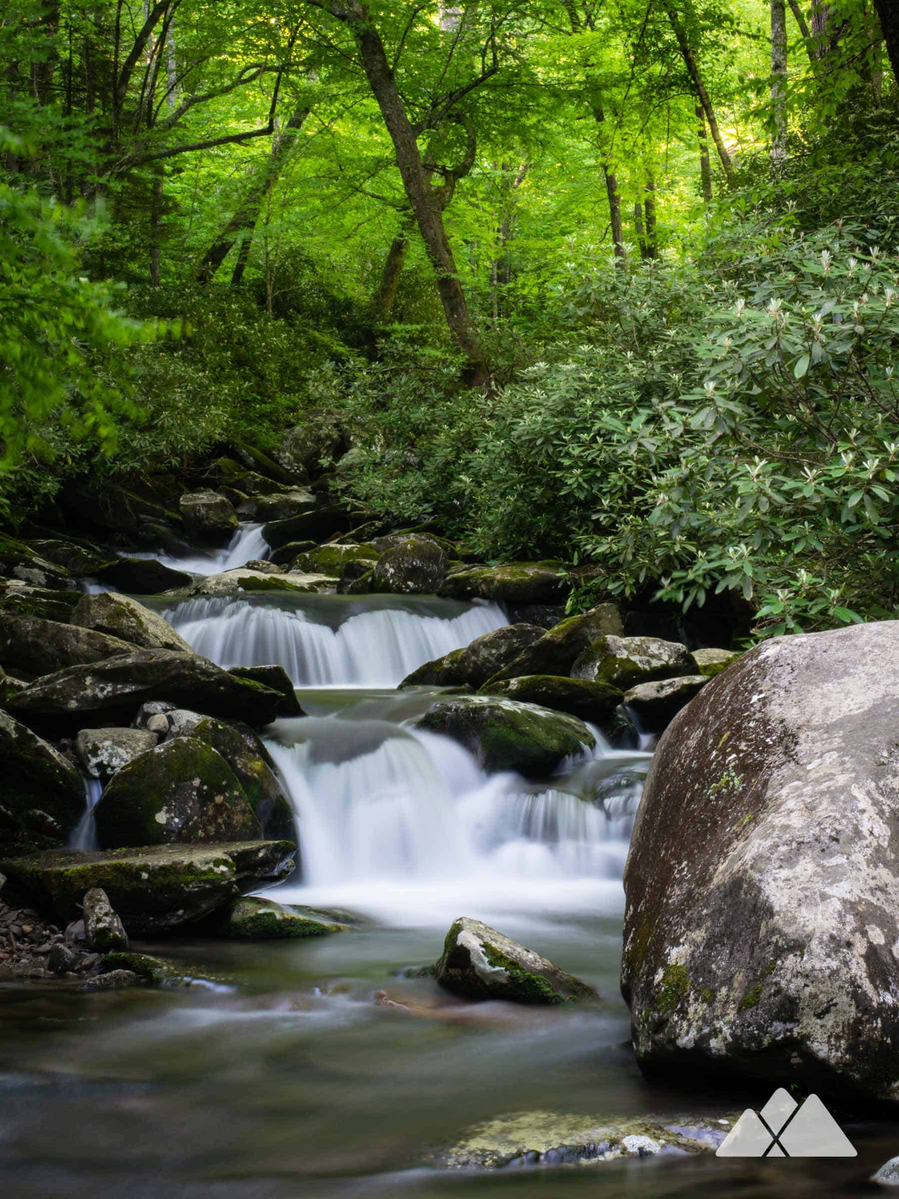 Chimney Tops Trail in the Smoky Mountains - Asheville Trails
