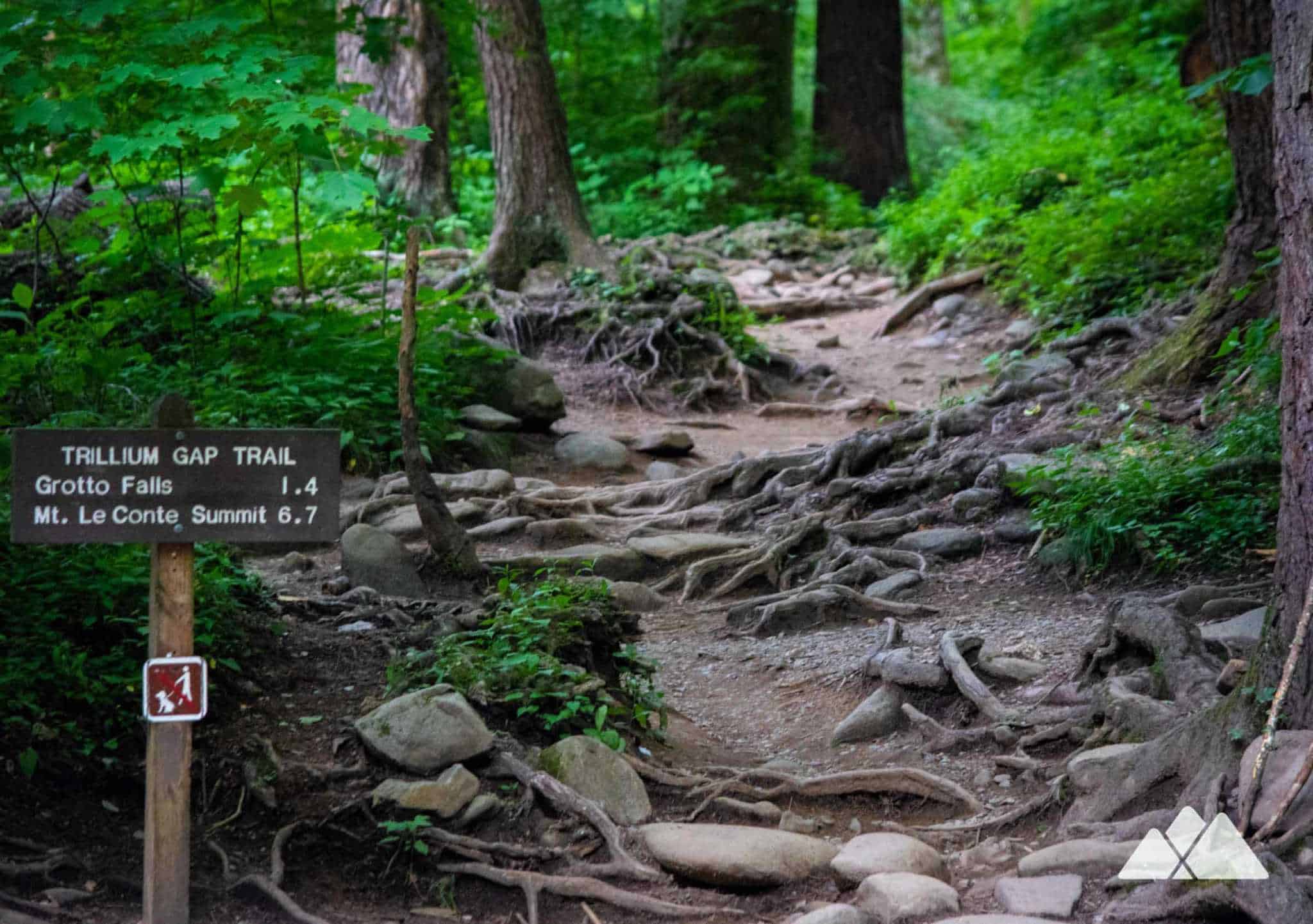 Grotto Falls on the Trillium Gap Trail - Asheville Trails