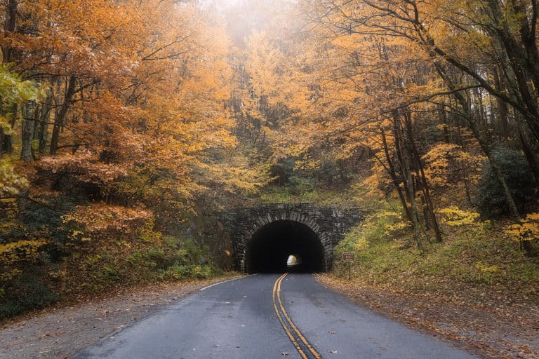 Waterfalls near Asheville, NC: our top 10 favorite hikes